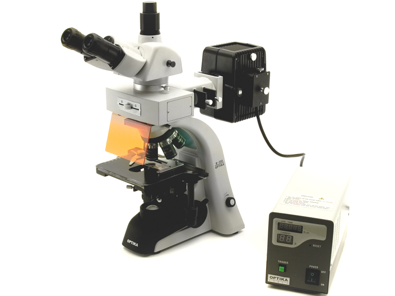 b_353fl – OPTIKAMICROSCOPES