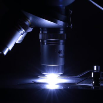 ECOVISION Series – OPTIKAMICROSCOPES