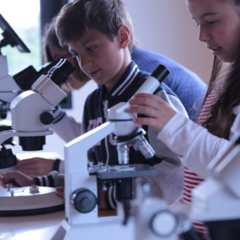 ECOVISION Series – OPTIKAMICROSCOPES