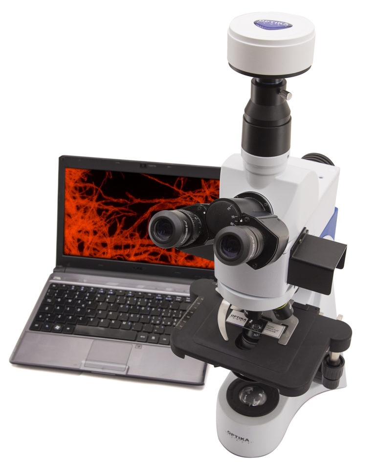 Basic C-B Series – OPTIKAMICROSCOPES