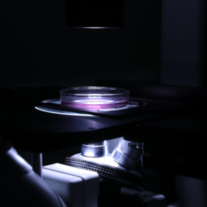 IM-300 Series – OPTIKAMICROSCOPES