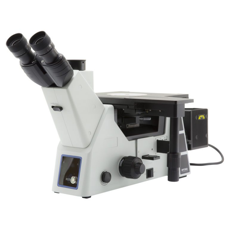 DIC Microscopy – OPTIKAMICROSCOPES