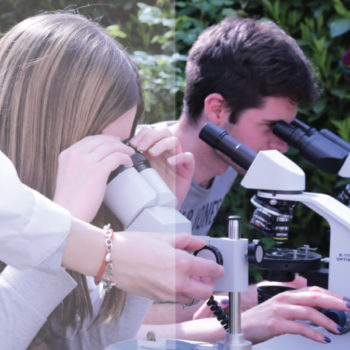 OPTIKAMICROSCOPES – Optika Microscopes Italy