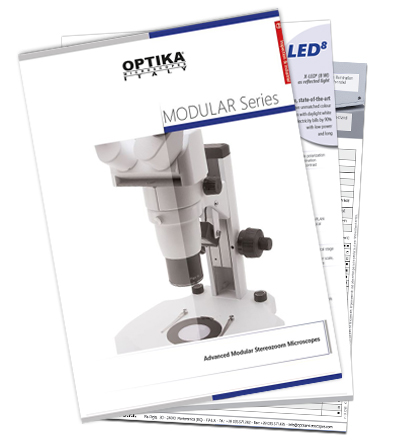 Brochure_Modular – OPTIKAMICROSCOPES